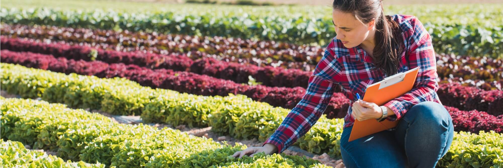 Investigation & Case Management Software | Resolver