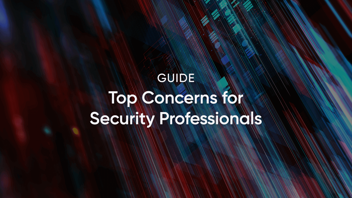 The Ultimate Guide to the Top Concerns for Corporate Security ...