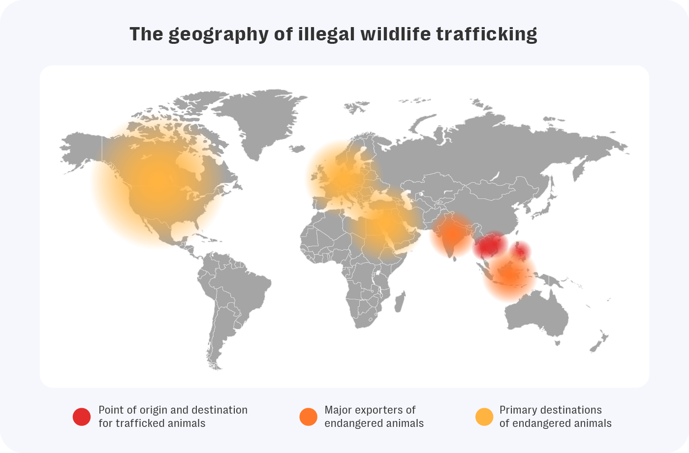 How Illegal Wildlife Trafficking Evades Online Platforms | Resolver